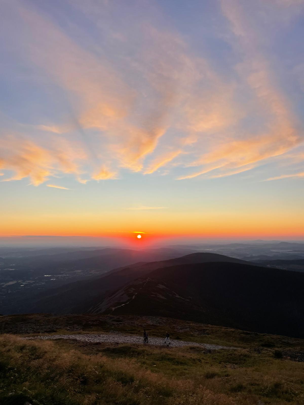 Výsledky hledání | Moodle ČZU